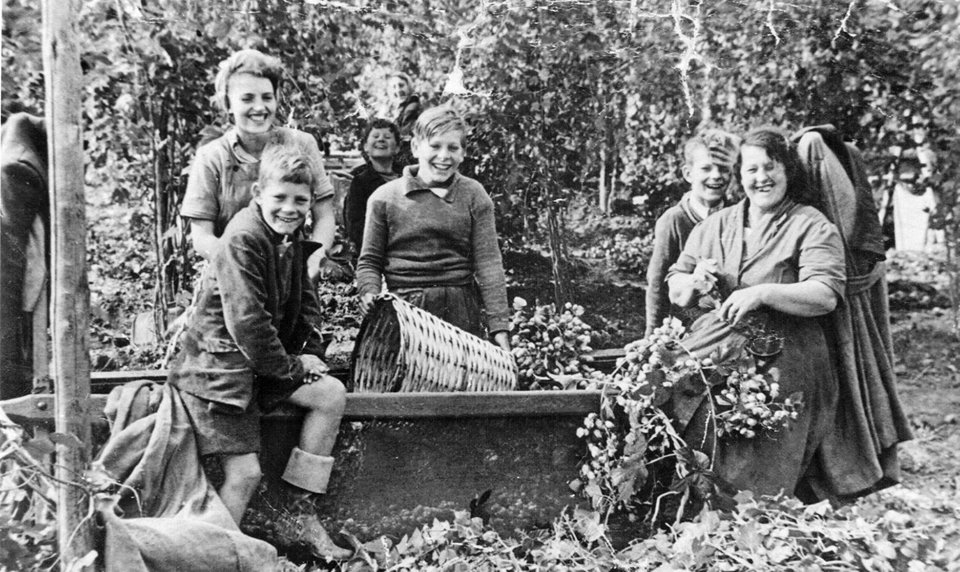 Hop Pickers – Warts And All